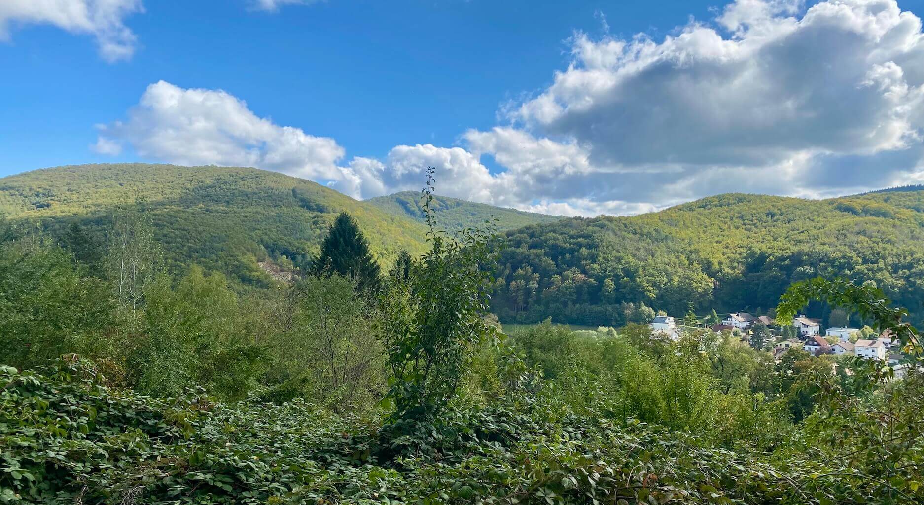 Blog | Thomas T Burgess's Blog